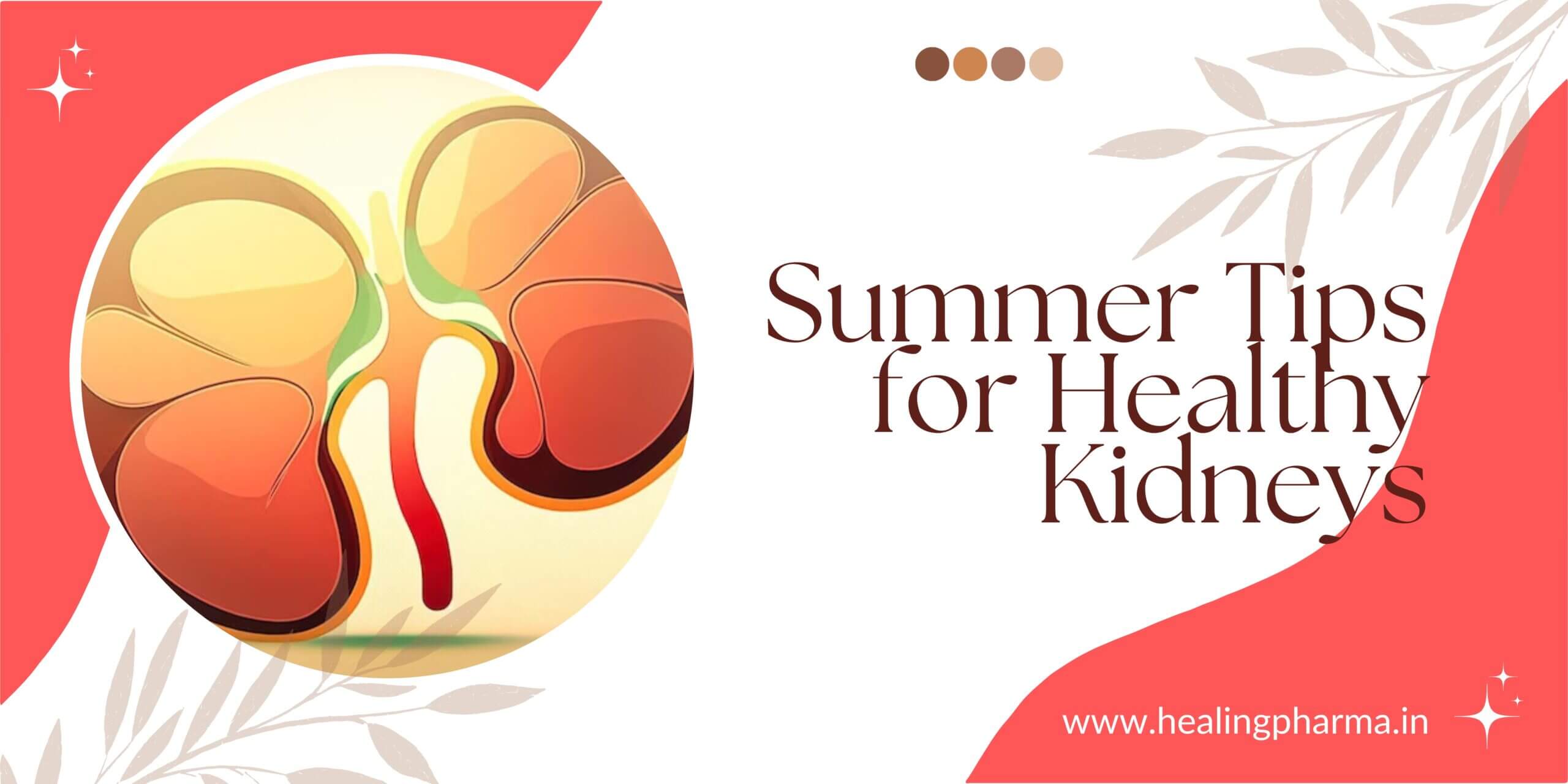 Summer Tips for Healthy Kidneys - Healing Pharma India Pvt Ltd