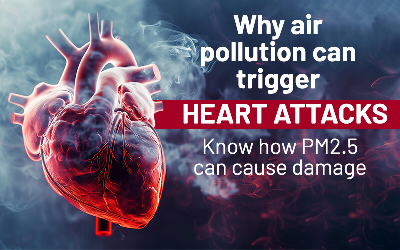How Air Pollution & PM2.5 Trigger Heart Attacks